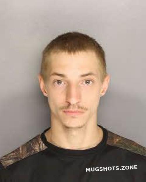 REYNOLDS DUSTIN FREDERICK ALAN 07/01/2021 - Berkeley County Mugshots Zone