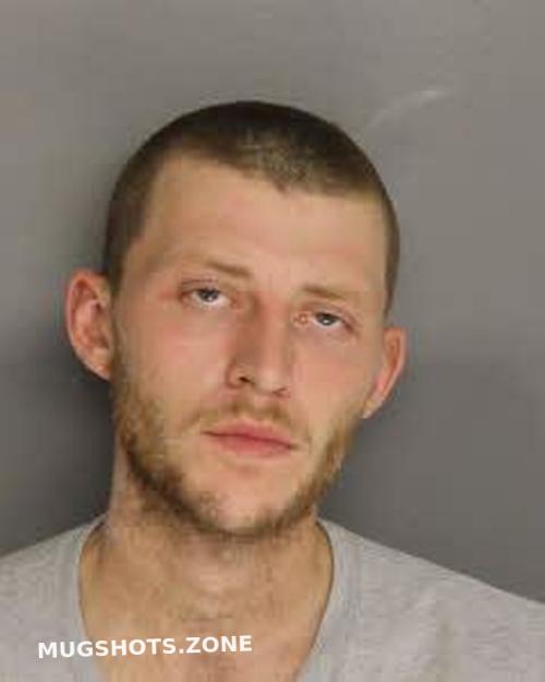 ALEXANDER JUSTIN ALLEN 07/16/2021 - Berkeley County Mugshots Zone