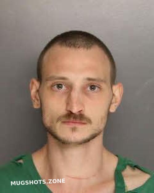 DAVIS TYLER LEE CHRISTIAN 09/18/2021 - Berkeley County Mugshots Zone