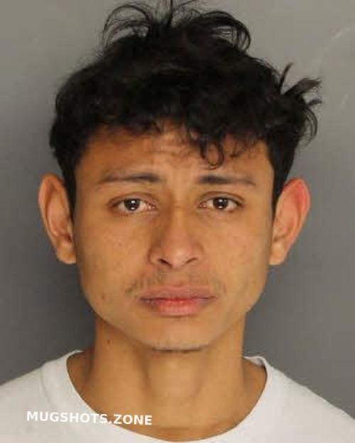 GONZALEZ MARLO 01/17/2022 - Berkeley County Mugshots Zone