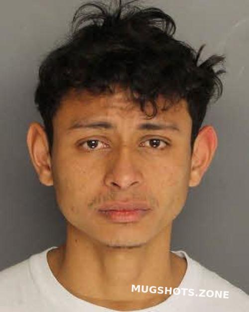 GONZALEZ-FLORES MARLON WILFREDO 01/17/2022 - Berkeley County Mugshots Zone