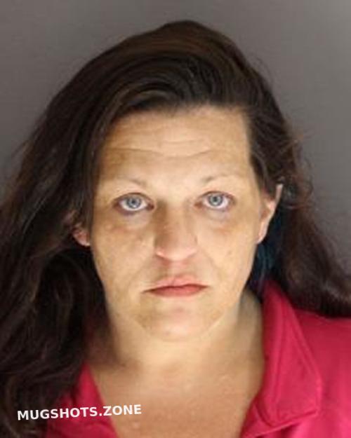 SHYLOCK CASI NICOLE 02/13/2022 - Berkeley County Mugshots Zone