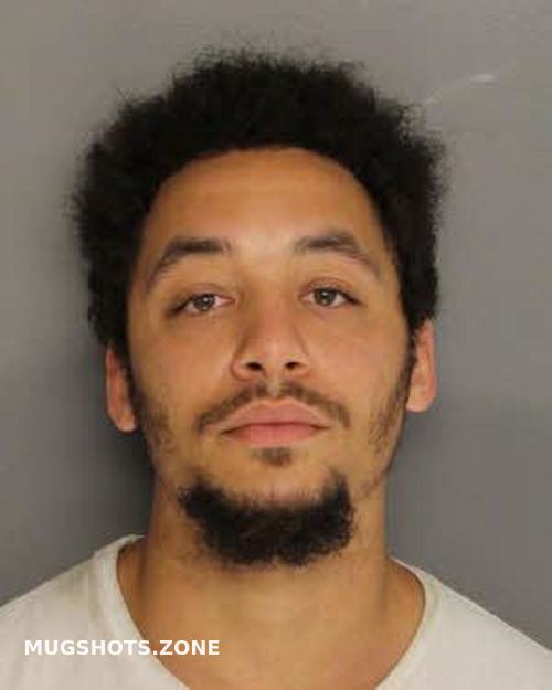 GROENE TREMMIL CALEB 03/07/2022 - Berkeley County Mugshots Zone