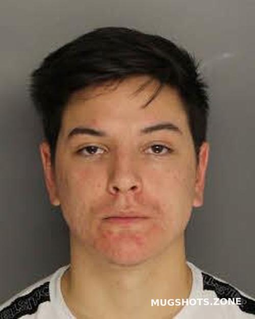 DIOGUARDI DYLAN JAMES 03/22/2022 - Berkeley County Mugshots Zone