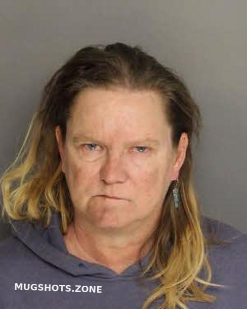 Browning Marcella Ann 04 23 2022 Berkeley County Mugshots Zone