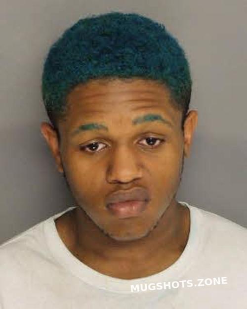 WILLIAMS JADEN KAVON 05/24/2022 - Berkeley County Mugshots Zone