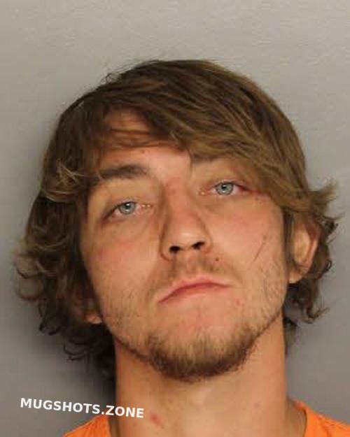HARTLEY BRODY NELSON 06/04/2022 - Berkeley County Mugshots Zone