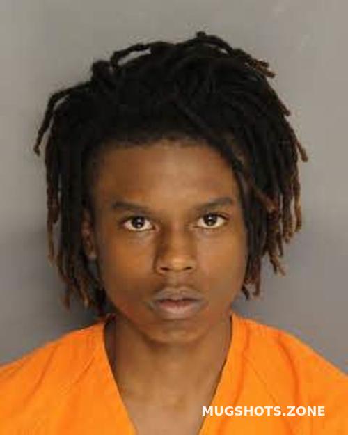 HAMILTON TRACY BERNARD 08/16/2022 - Berkeley County Mugshots Zone