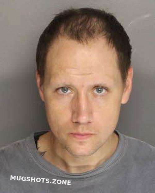 DEWITT STEVEN DONN 10/28/2022 - Berkeley County Mugshots Zone