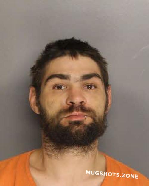 TURNER TRAVIS ANTHONY 11/06/2022 - Berkeley County Mugshots Zone