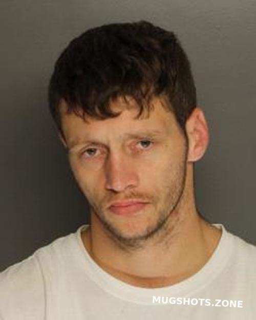 HAYS ANDREW NEIL 11/14/2022 - Berkeley County Mugshots Zone