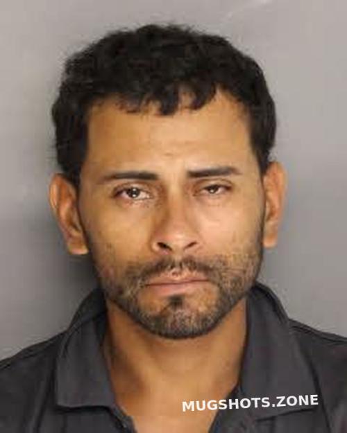 SANTIAGO JOSE RAMON ALICEA 12/14/2022 - Berkeley County Mugshots Zone