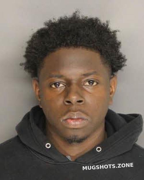 RYANT DANIEL WESLEY 02/04/2023 - Berkeley County Mugshots Zone