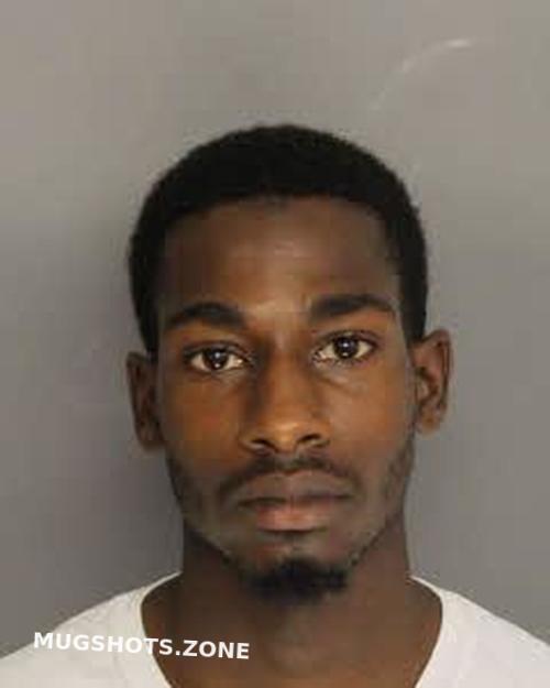 PALMER SHELDON DEAN 03/03/2023 - Berkeley County Mugshots Zone