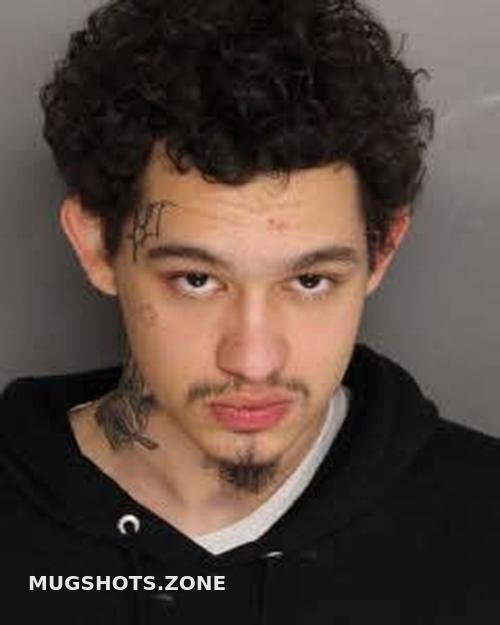 DRIGGERS SHANE ZACHARY WAYNE 03/08/2023 - Berkeley County Mugshots Zone