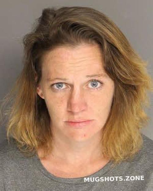 BRAZIL AMY CARAWAY 03/21/2023 - Berkeley County Mugshots Zone