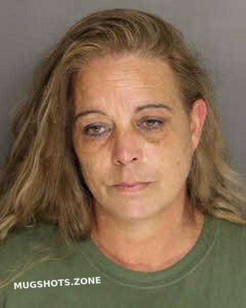 PALMER JENNIFER REBECCA 03/23/2023 - Berkeley County Mugshots Zone
