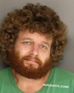 PANEK JOSHUA LEE 04/12/2023 - Berkeley County Mugshots Zone