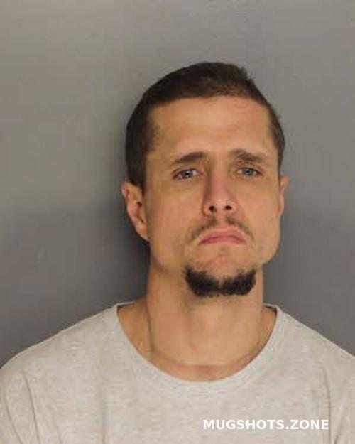 FANNING DANIEL BART 04/19/2023 - Berkeley County Mugshots Zone