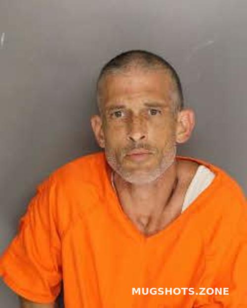 CAMDEN RYAN SEAN 04/24/2023 - Berkeley County Mugshots Zone