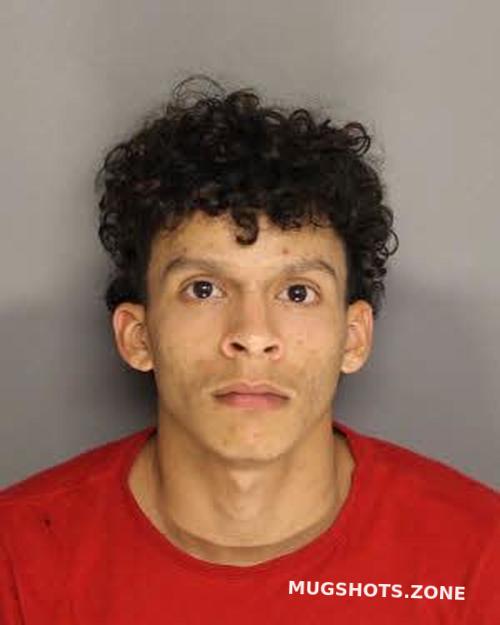 SOTO-RIOS LUIS 06/01/2023 - Berkeley County Mugshots Zone