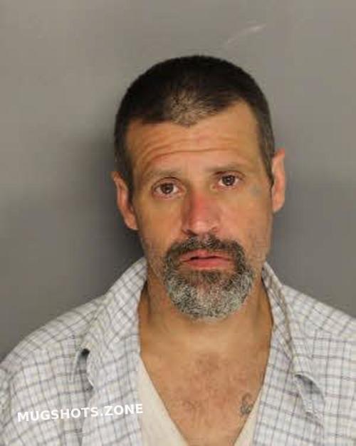 SPRING SAMUEL DAVID 07/30/2023 - Berkeley County Mugshots Zone
