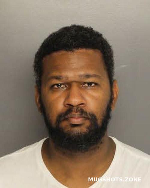 MORRISON ANDRE N 08/11/2023 - Berkeley County Mugshots Zone