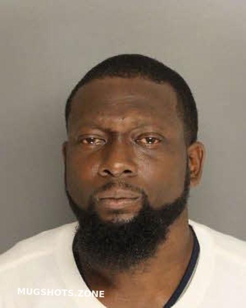 BROWN KELCEY LANIER 08/12/2023 - Berkeley County Mugshots Zone