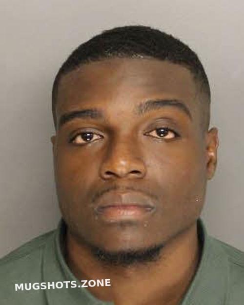 BROWN BRANDON NATHAN 09/03/2023 - Berkeley County Mugshots Zone