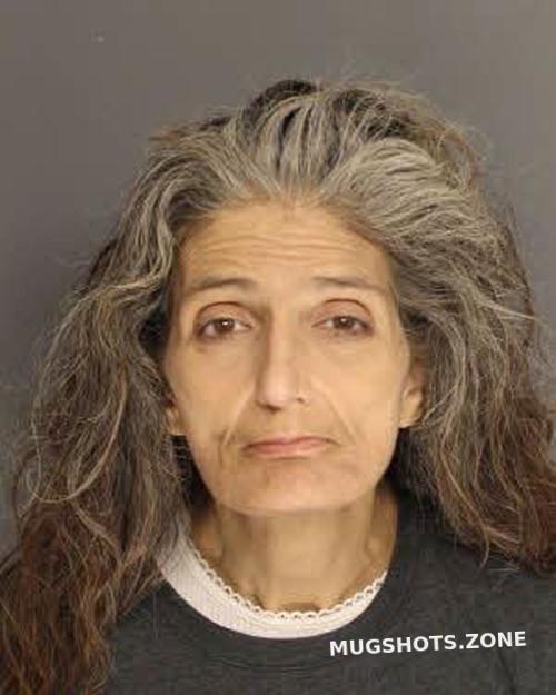 WILSON SHEILA RAYE 10/09/2023 - Berkeley County Mugshots Zone