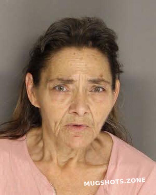 CASTELAN MARY ELIZABETH 10/18/2023 - Berkeley County Mugshots Zone