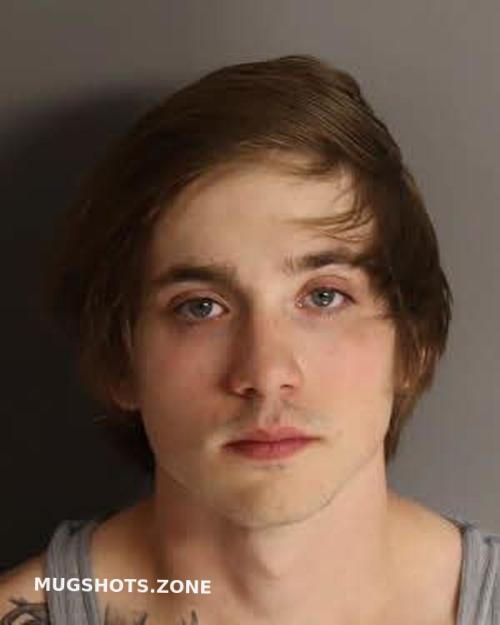 FIELDS COLBY MICHEAL 11/08/2023 - Berkeley County Mugshots Zone
