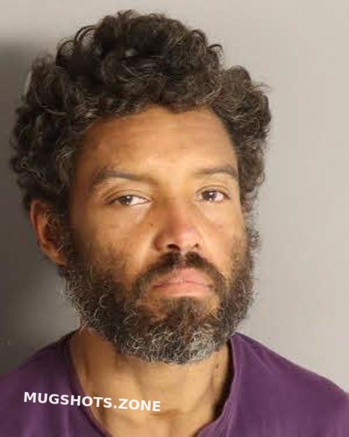 WILLIAMS DAVID LANARD 11/15/2023 - Berkeley County Mugshots Zone WILLIAMS DAVID LANARD 11/15/2023 - Berkeley County Mugshots Zone
