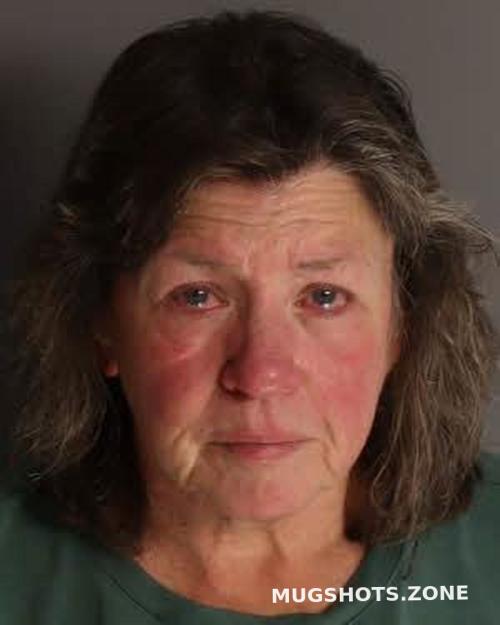 METCALF TERESA FAYE 11/26/2023 - Berkeley County Mugshots Zone
