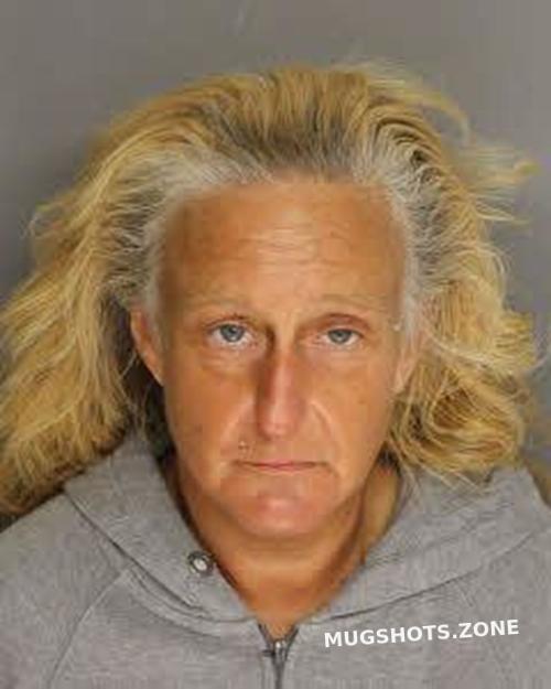FAIRCLOTH MANDY MICHELLE 12/08/2023 - Berkeley County Mugshots Zone