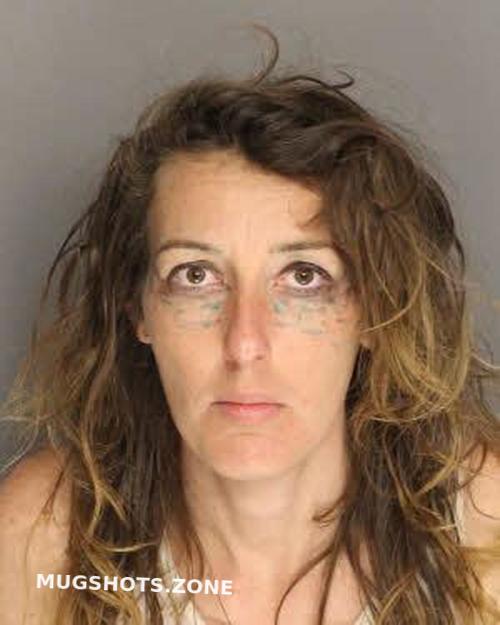 LANE CYNTHIA ANN 12/27/2023 - Berkeley County Mugshots Zone