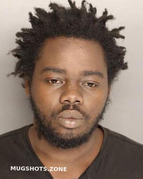 Williams Oneal Raheem 02 13 2024 Berkeley County Mugshots Zone