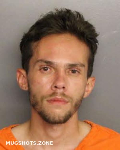 Pierce William Bradley 02 17 2024 Berkeley County Mugshots Zone