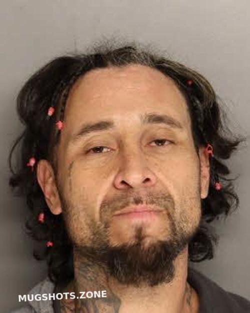 VINLUAN BRANDON LEUIS 02/18/2024 - Berkeley County Mugshots Zone