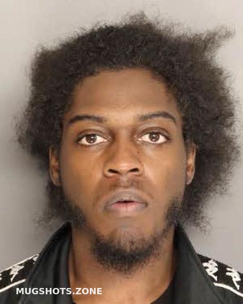 BROWN JAYLIN TYREK 02/20/2024 - Berkeley County Mugshots Zone