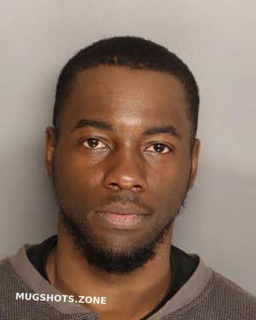 WHITE DEVANTE RASHAD 02/21/2024 - Berkeley County Mugshots Zone
