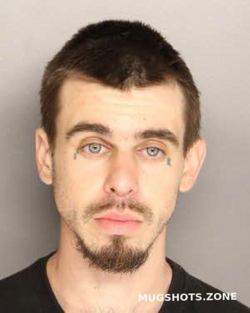 WHETSELL MICHAEL BRANDEN 03/17/2024 - Berkeley County Mugshots Zone