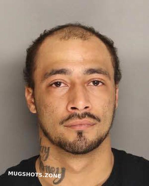 SMITH JORDAN NATHANIEL 04/23/2024 - Berkeley County Mugshots Zone