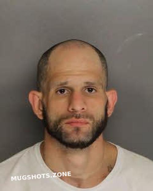 WILLIAMS MARK PATRICK 05/01/2024 - Berkeley County Mugshots Zone