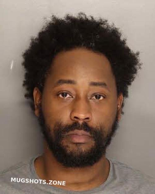 WILLIAMS RASHAD CLAUDIS 05/16/2024 - Berkeley County Mugshots Zone