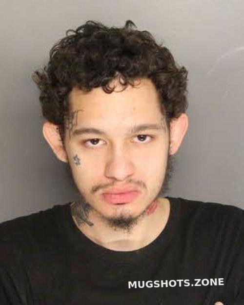 Driggers Shane Zachary Wayne 05 17 2024 Berkeley County Mugshots Zone