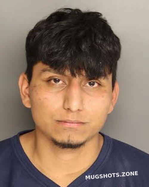 ROSALDO-RODRIGUEZ HENRY 06/20/2024 - Berkeley County Mugshots Zone