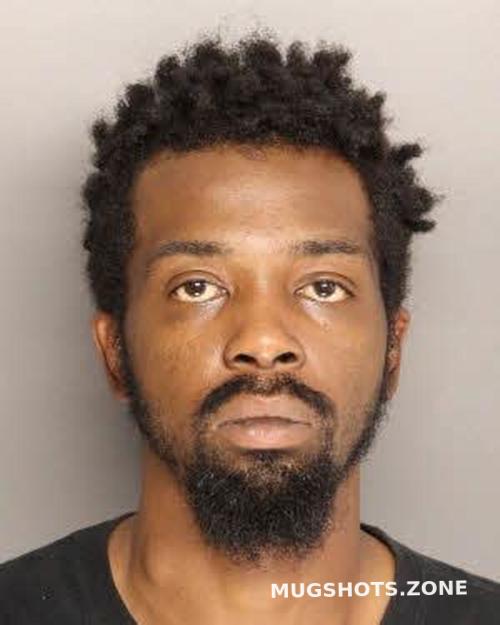 WILLIAMS MARCUS DEAN 06/24/2024 - Berkeley County Mugshots Zone