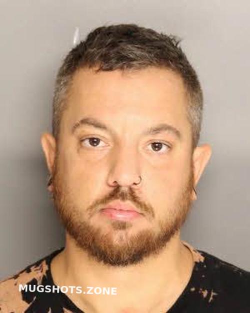 ISAAC JOSHUA ANTHONY 07/08/2024 - Berkeley County Mugshots Zone