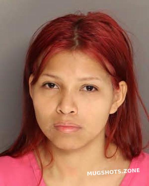 BARROSO-GONZALEZ ISABEL MARIA 08/03/2024 - Berkeley County Mugshots Zone